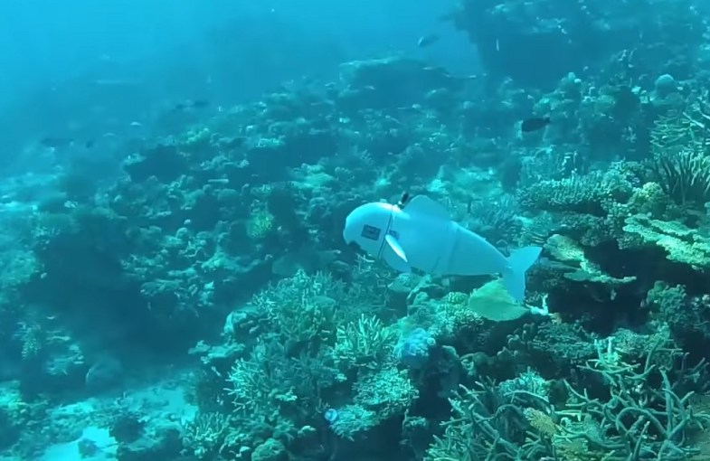 SoFi Ialah Robot yang Memiliki Penampilan Mirip Ikan
