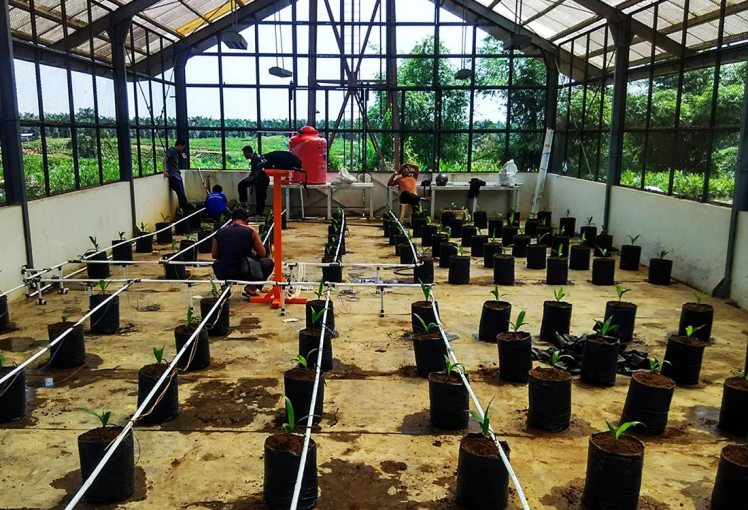 Mengenal Mertani, Penyedia Solusi IoT dan Analitik untuk Bidang ...